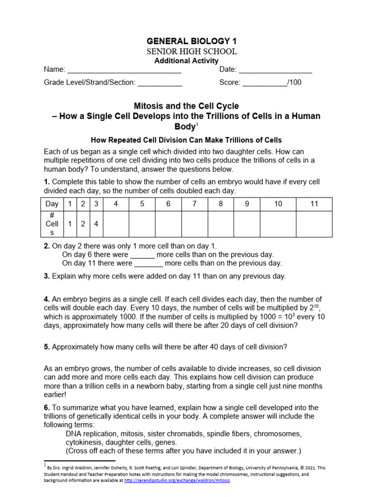 Bio 1-Additional Activity | PDF | Cell (Biology) | Mitosis