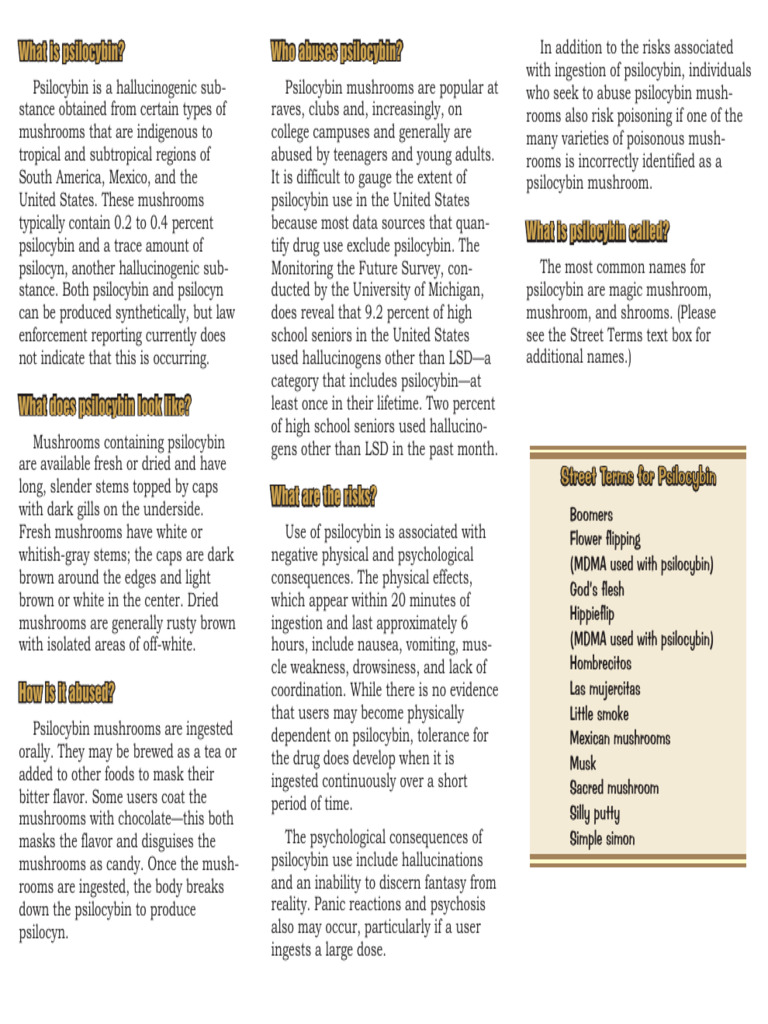 Magic Mushrooms | PDF | Psilocybin | Pharmaceutical Sciences