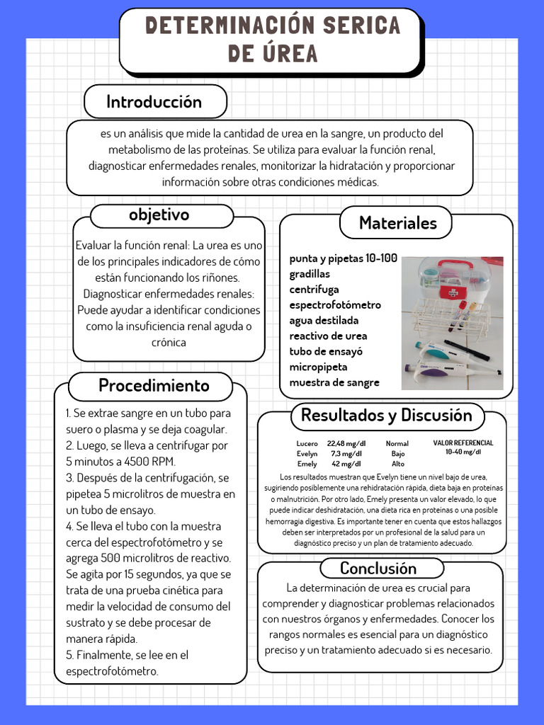 Copia de Documento A4 Proyecto Escolar de Historia Ilustrativo ...