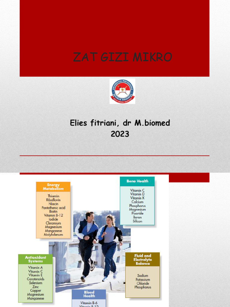 K3. Zat Gizi Mikro - EF - Dr. Elies Fitriani | PDF