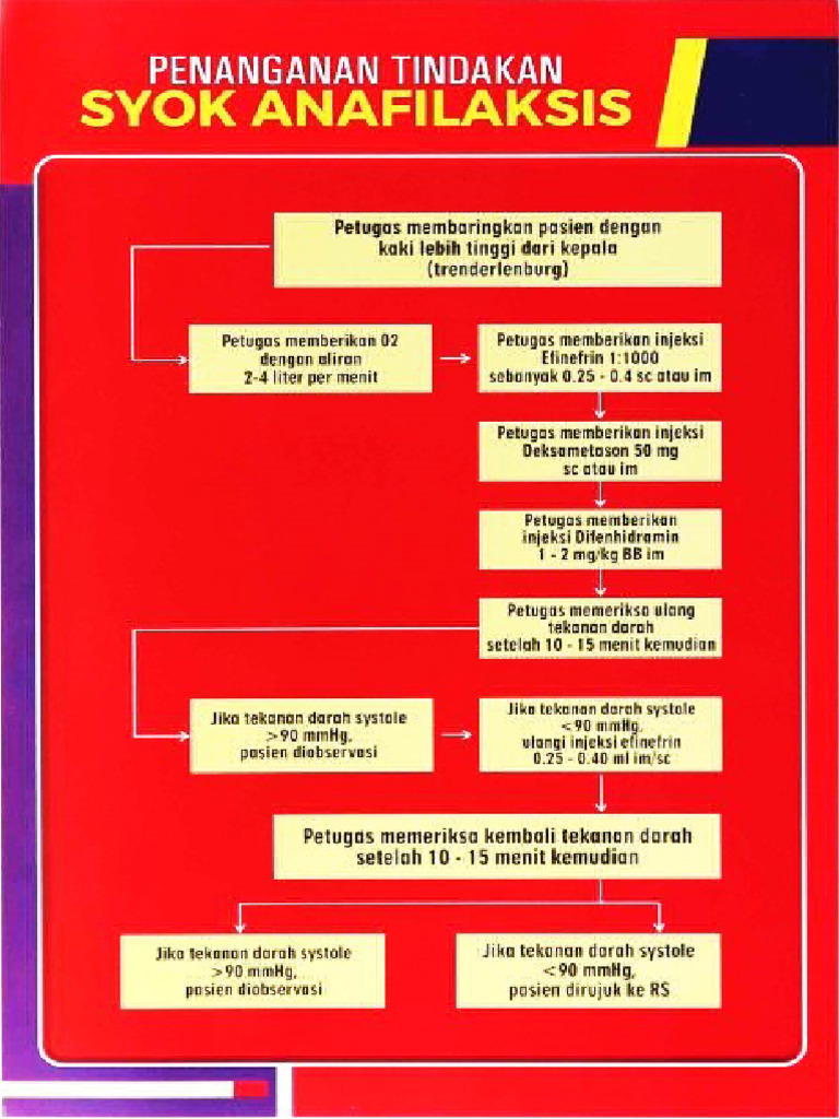 Anafilaksis Poster | PDF