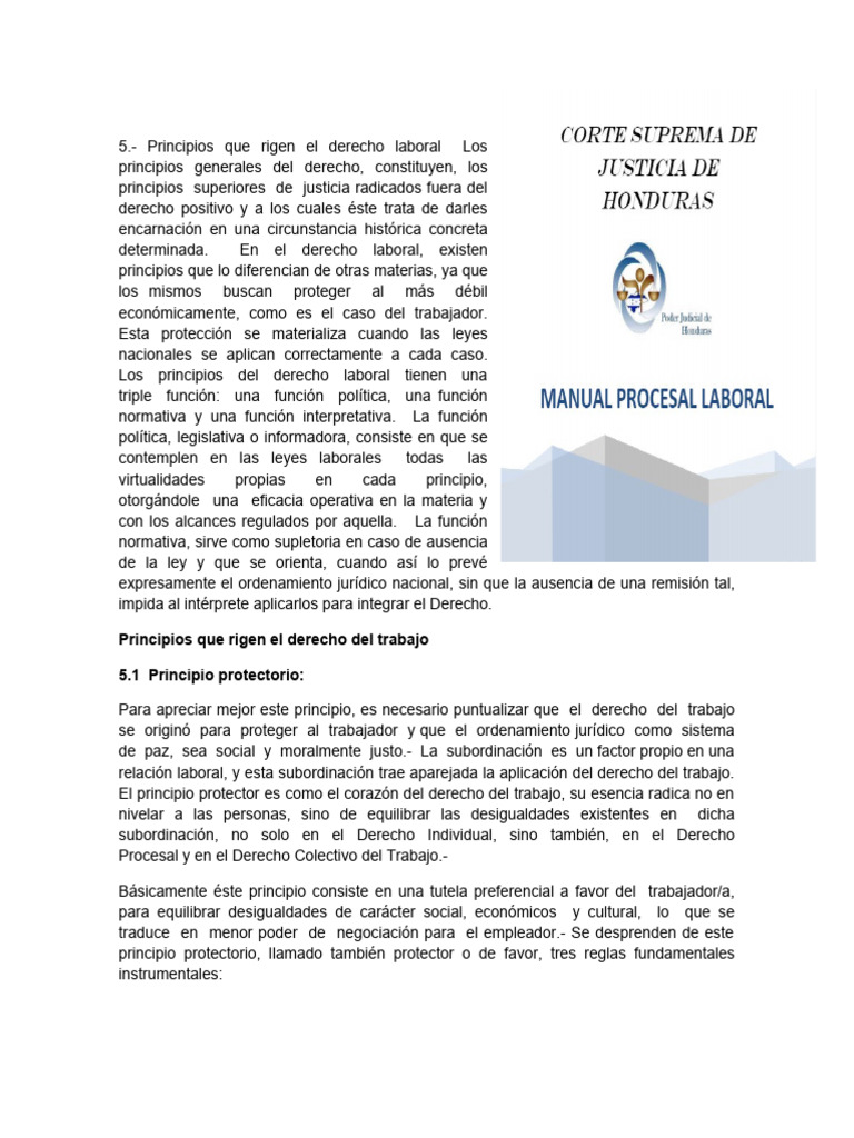 Manual Del Derecho Procesal Laboral | PDF | Derecho laboral | Ley procesal