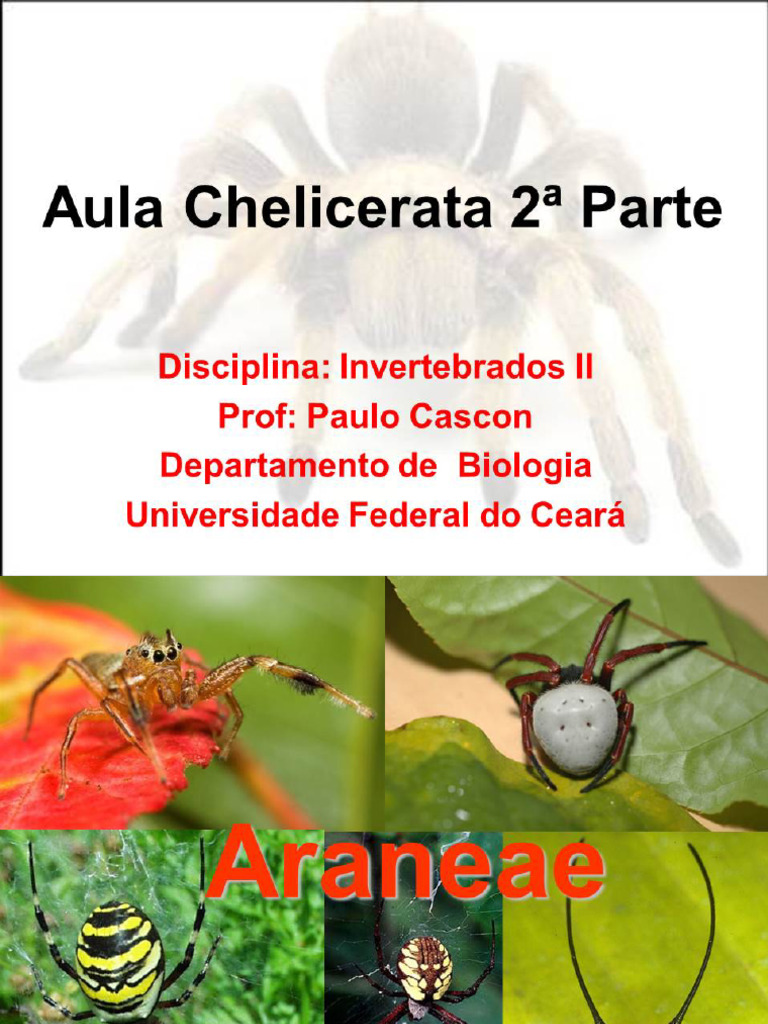 Aula Chelicerata 2a Parte | PDF