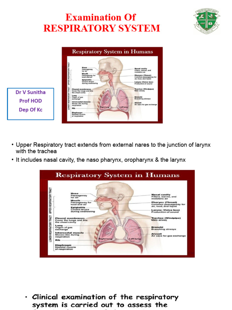 Examination of Respiratory System | PDF