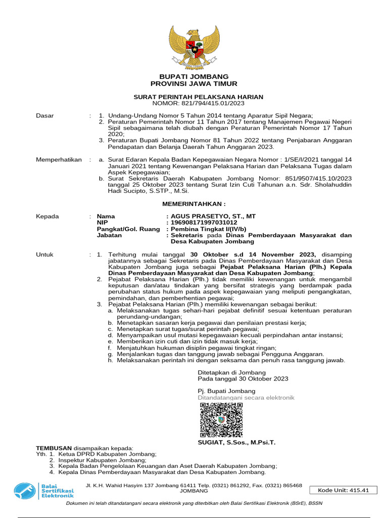 SK - Pak PLH Kadis - DPMD | PDF