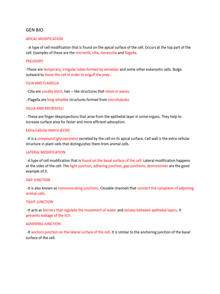 Gen Bio | PDF | Neuron | Tissue (Biology)