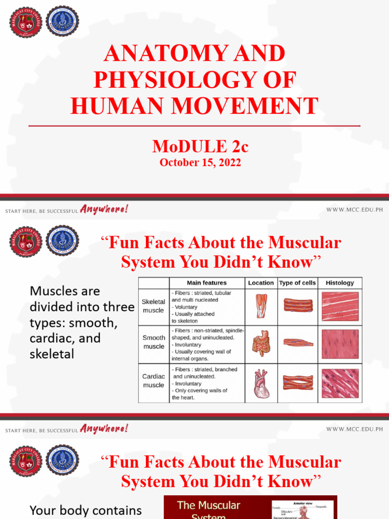 MODULE 2 (C) | PDF | Skeletal Muscle | Zoology