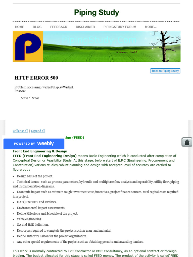 Feed - Piping Study | PDF | Engineering | Engineering Design Process