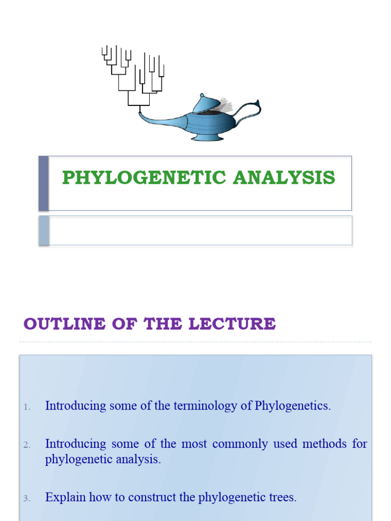 Phylogenetic Analysis Methods Explained | PDF | Phylogenetic Tree ...