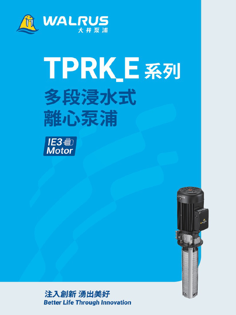 211 TPRK - E IE3br系列 | PDF