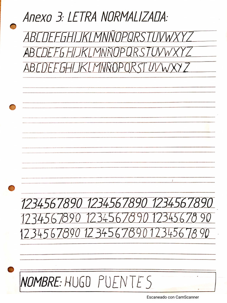 Letra Normalizada | PDF