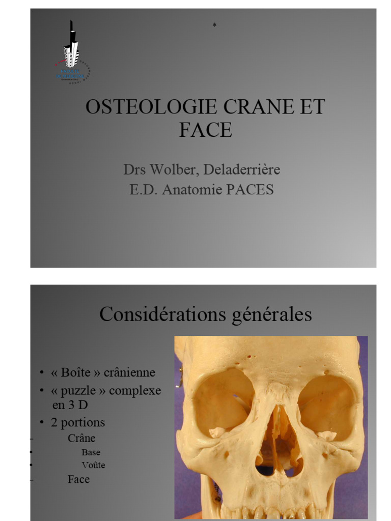 Anatomie des os du crâne humain | PDF | Anatomie humaine | Tête et cou ...