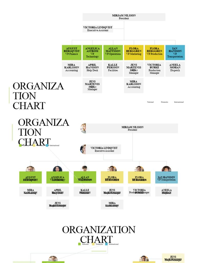 Simple Organization Chart | PDF