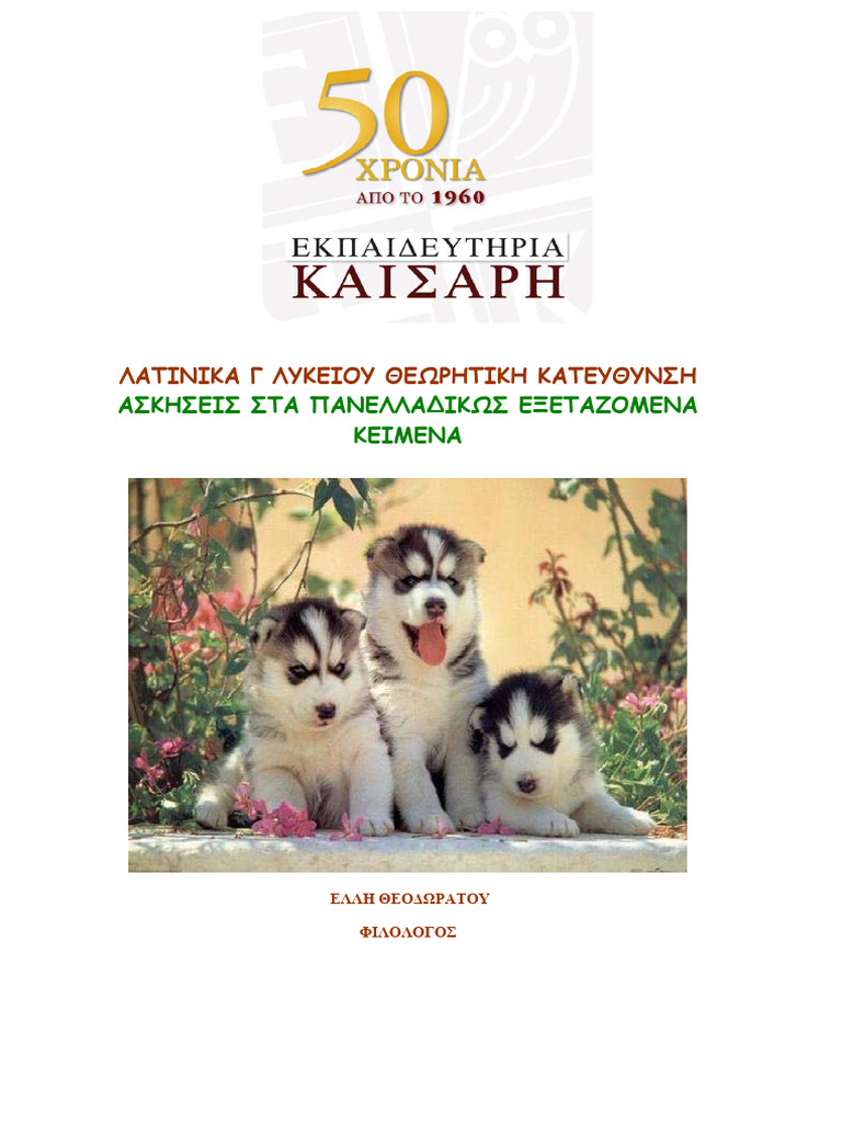 C Lik Askisis Latinika | PDF