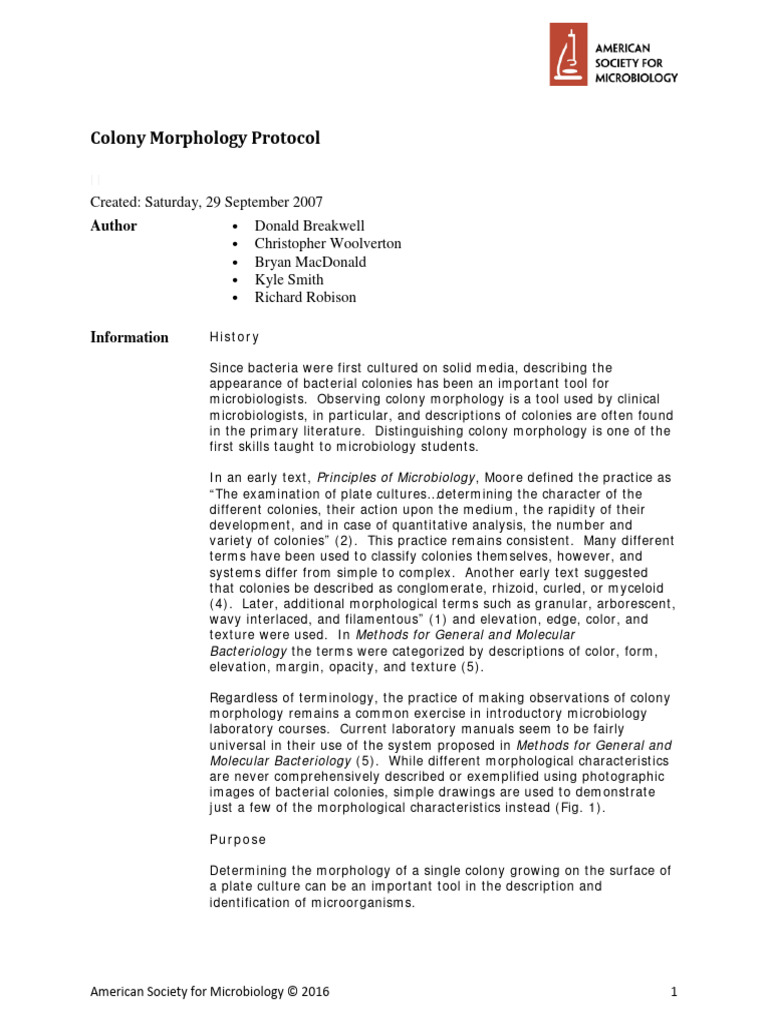 Colony Morphology Protocol | Download Free PDF | Laboratories ...