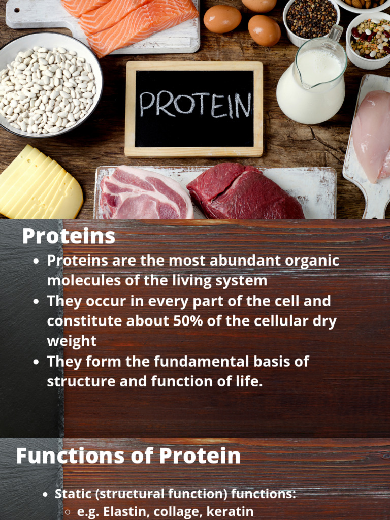 Elements and Functions of Proteins | PDF