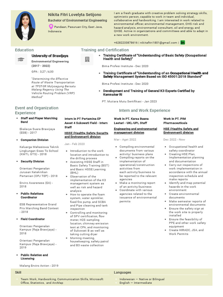 CV Update Niki | PDF | Occupational Safety And Health | Safety