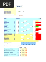 Protocolo de Registro WISC-V | PDF | Aprendizaje | Cognición