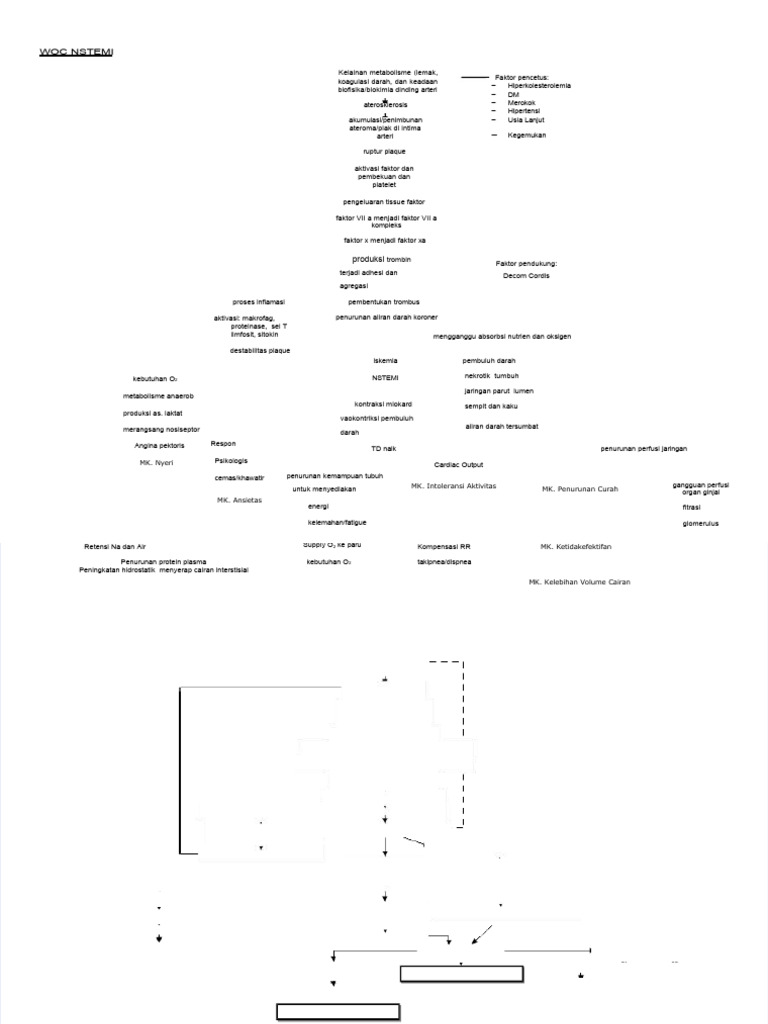 PDF Woc Nstemi PDF | PDF