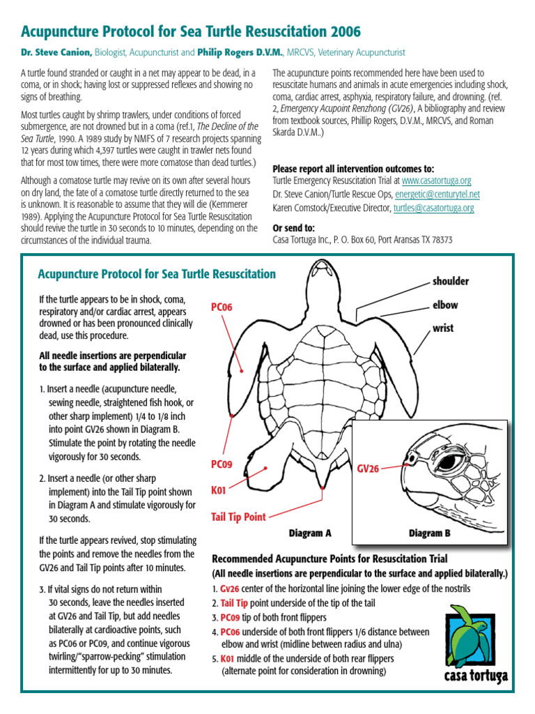 Turtle Acupuncture Resuscitation Guide | PDF | Cardiopulmonary ...
