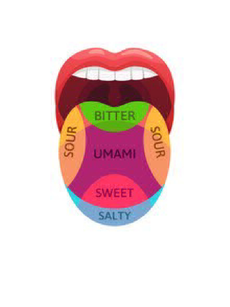 Tongue Taste Buds | PDF