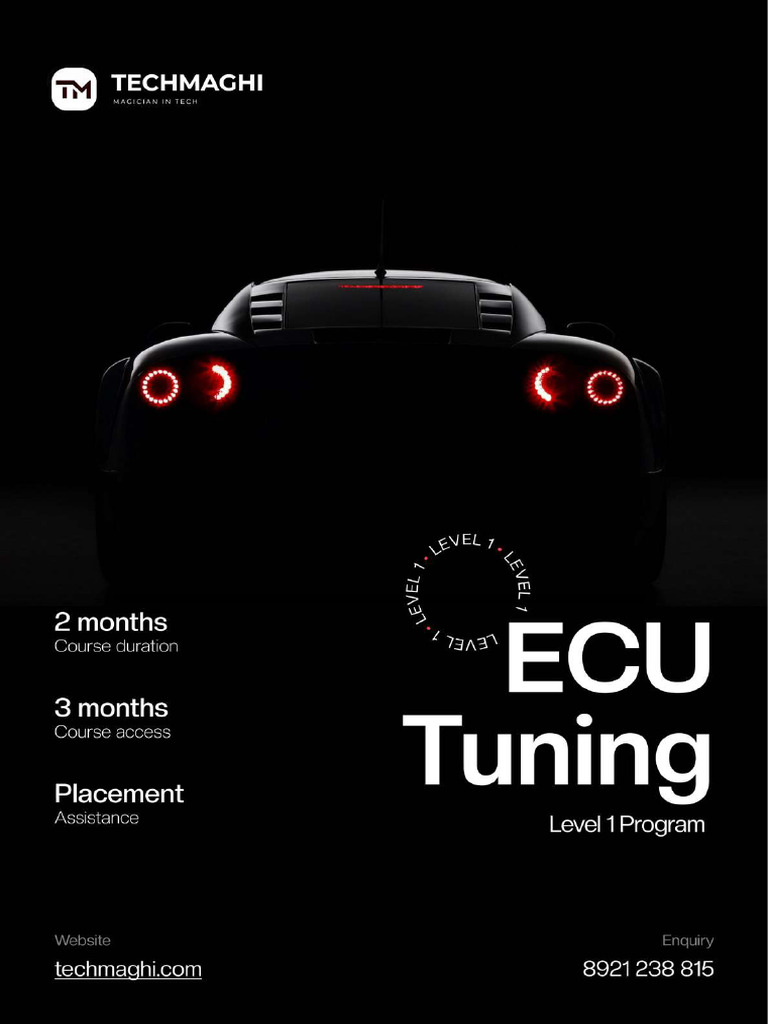 ECU Tuning Level 01 | PDF