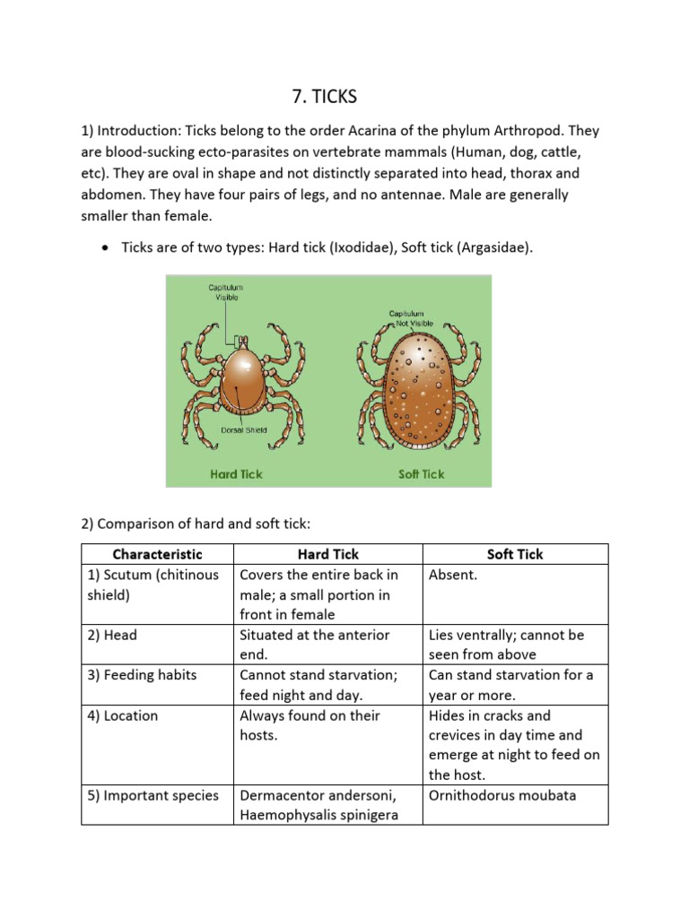 7 Ticks | PDF | Science & Mathematics
