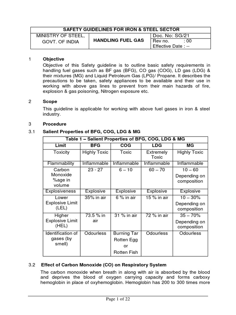 SG-21 Safety Guideline For Handling Fuel Gas | PDF | Leak | Valve