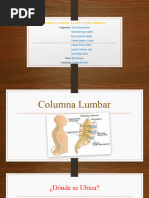 Anatomía de las vértebras D10, D11 y D12 | PDF | Vértebra | Tórax