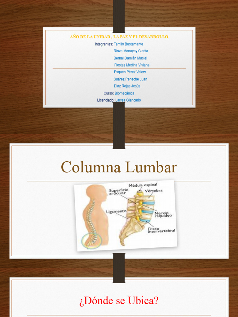 Zona Lumbar | PDF | La columna vertebral | Vértebra