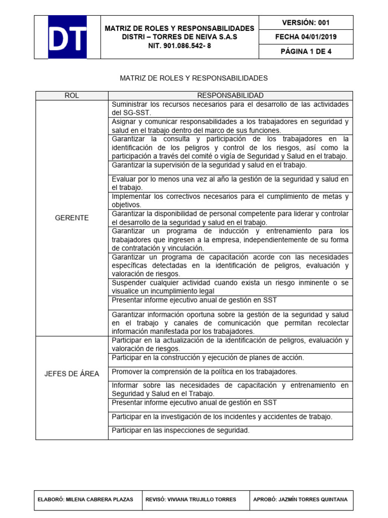 Matriz de Roles y Responsabilidades | PDF