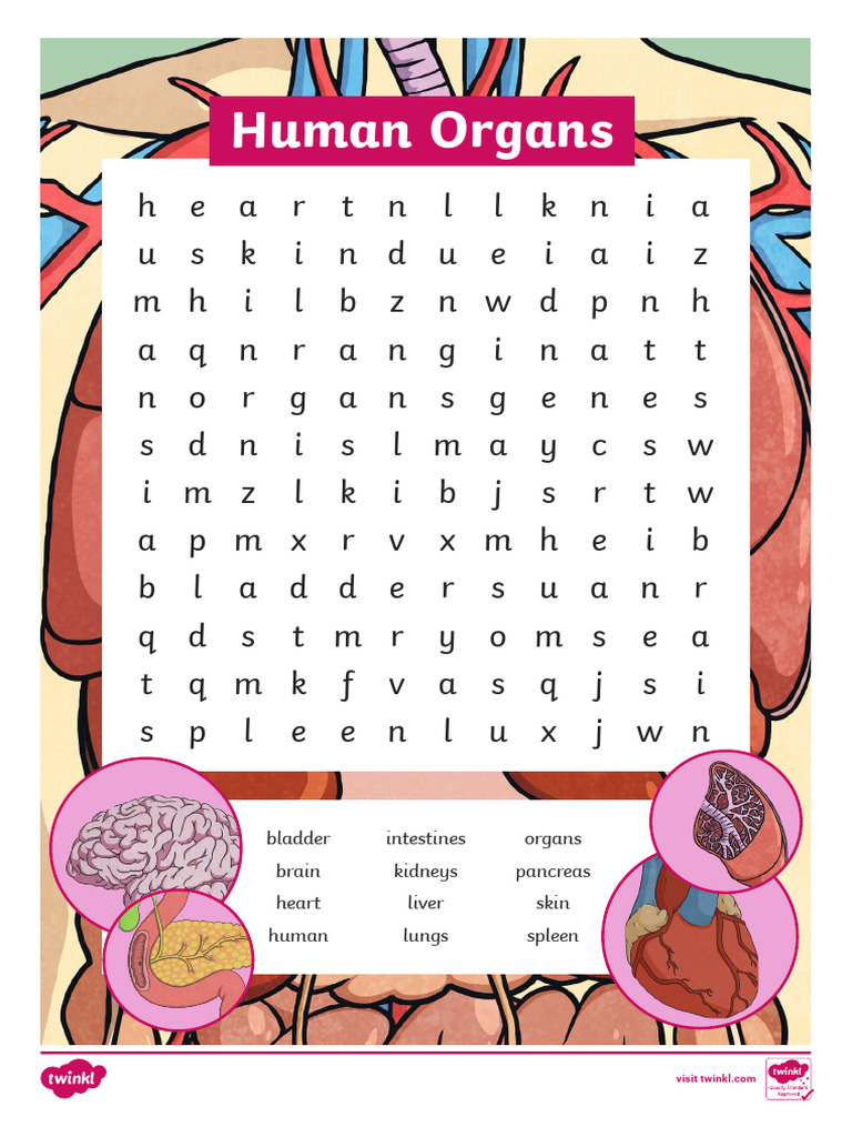 Human Organs Word Search Puzzle | PDF | Self-Improvement