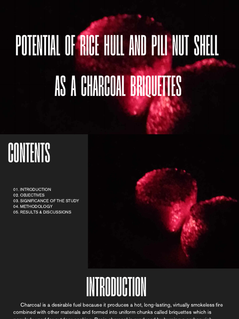 Rice Hull and Pili Nut Shell Briquettes | PDF | Charcoal | Analysis Of ...