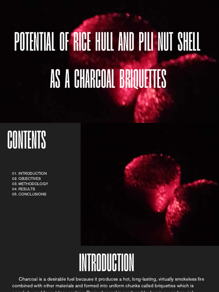 Potential of Rice Hull and Pili Nut Shell As A Charcoal Briquettes ...