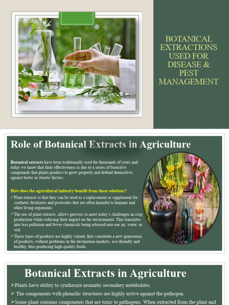 Project On Botanical Extract | PDF | Polyphenol | Turmeric