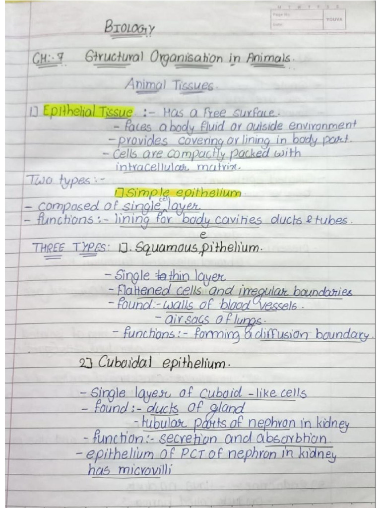 Bio Ch.7 Hand Made Notes | PDF