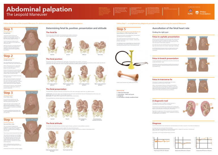 Steps of the Leopold Maneuver | PDF | Fetus | Uterus