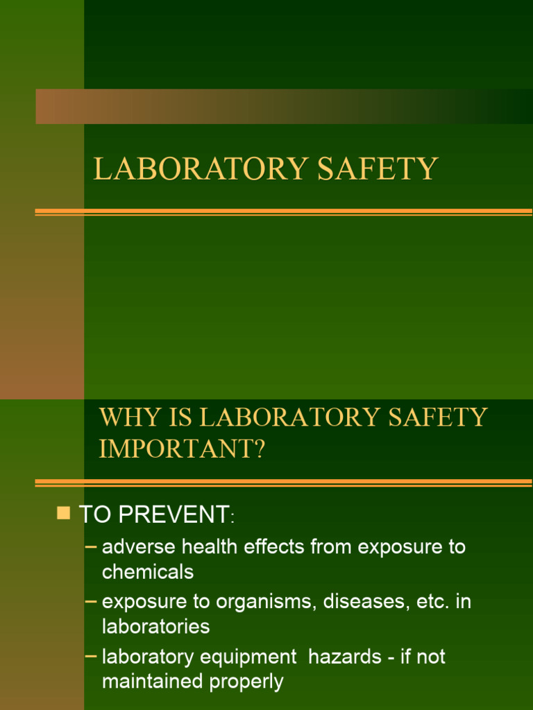 Lab Safety | PDF | Laboratories | Personal Protective Equipment