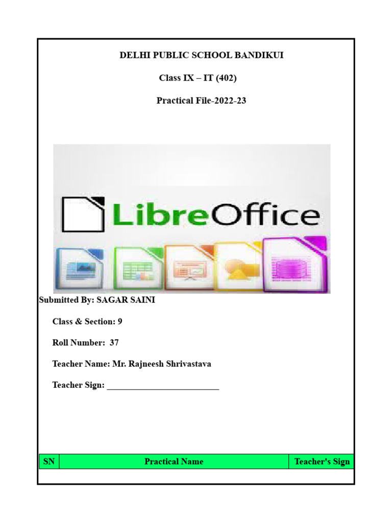Class IX Practical | PDF | Microsoft Excel | Spreadsheet