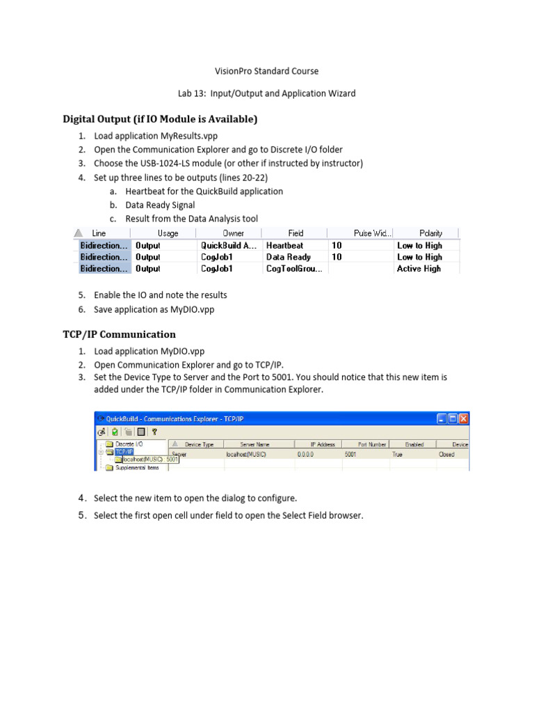 VP13 2 Input Output Wizard Lab | PDF | Port (Computer Networking) | Transmission Control Protocol