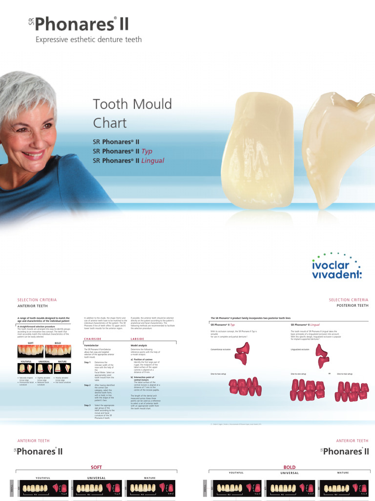 Phonares Ivoclar | PDF | Dentures | Dentistry