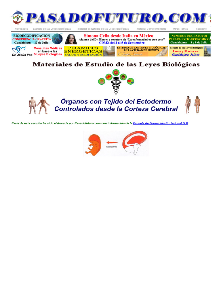 1 - Nueva Medicina Germanica Hamer Ectodermo Organos Tejidos NMG | PDF ...