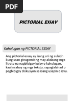 Pictorial Essay | PDF