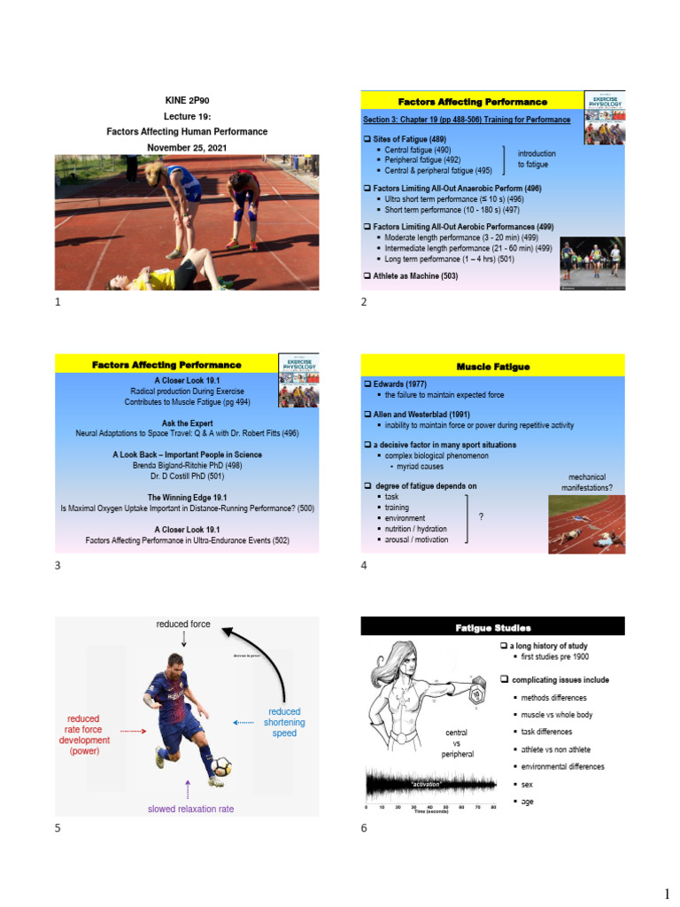 Kine 2p90 l19 | PDF | Skeletal Muscle | Muscle Contraction