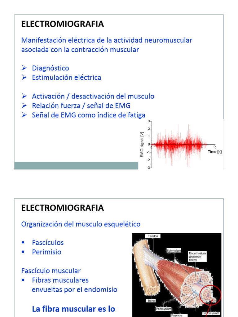 IBB22alumnos | PDF | Electromiografia | Músculo esquelético