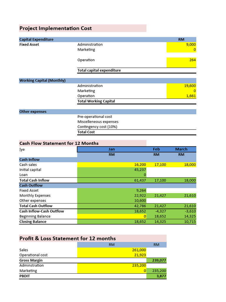 Financial Template Guideline | PDF | Expense | Depreciation
