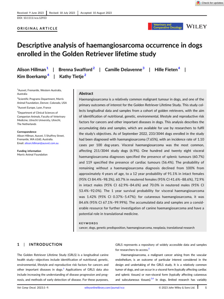 Haemangiosarcoma in Golden Retrievers | PDF | Medical Specialties ...