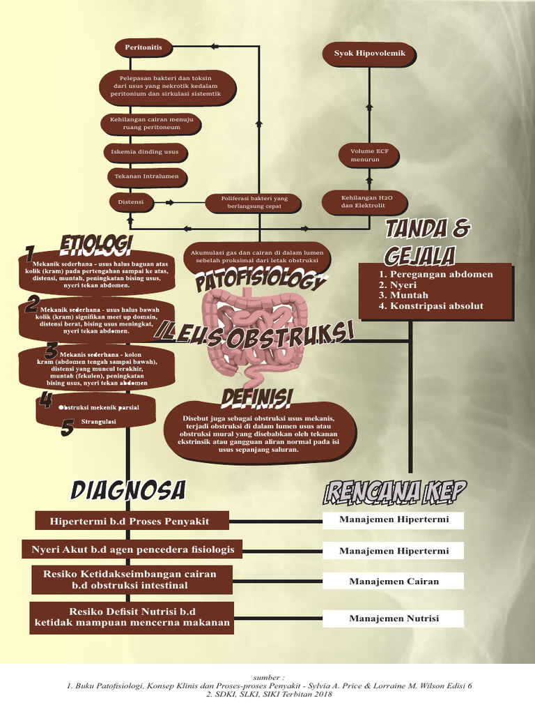 Mind Map Ileus Obs | PDF