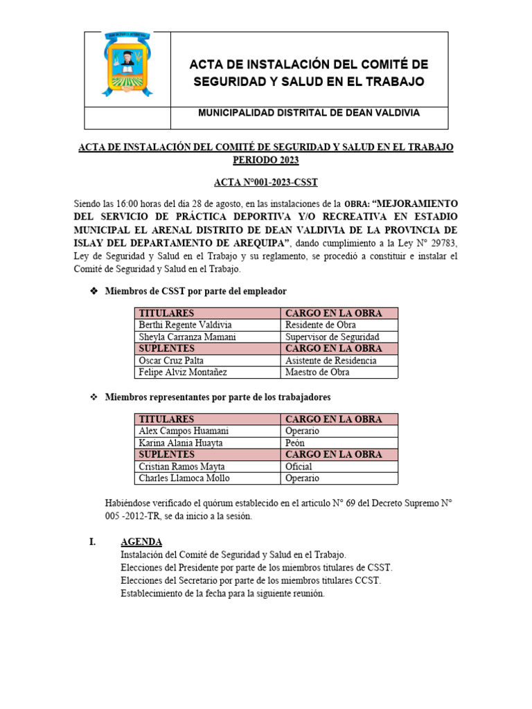 Acta de Instalación Del CSST | PDF | Gobierno