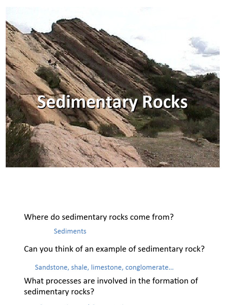 Sedimentary Rocks | PDF | Sedimentary Rock | Rock (Geology)